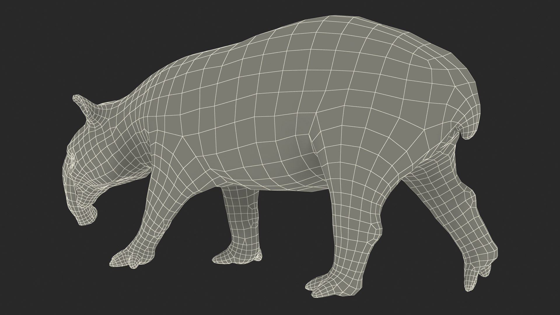 Tapir Walking Pose model - TurboSquid 1919754