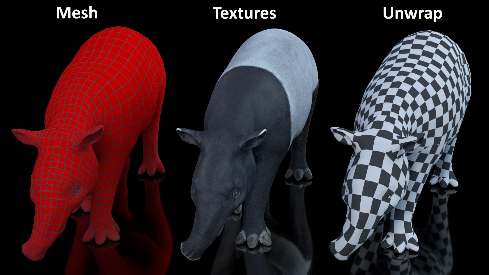 Tapir Walking Pose Model - TurboSquid 1919754
