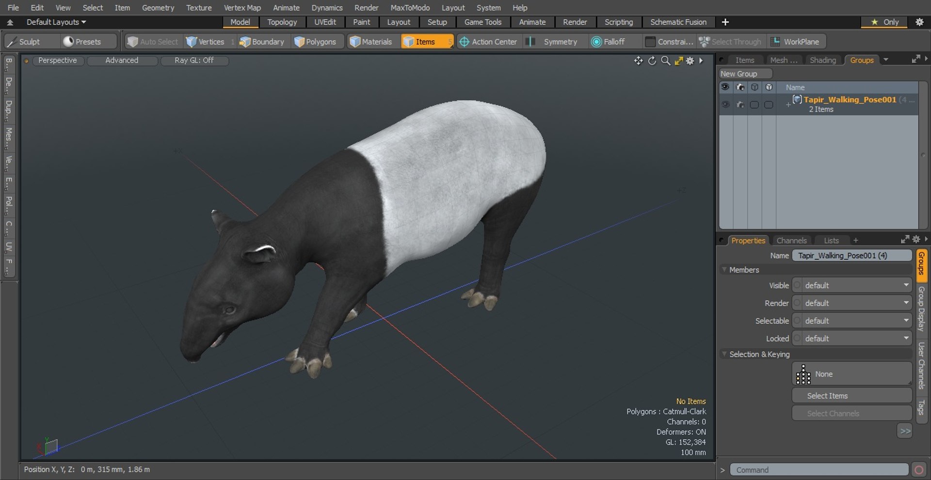Tapir Walking Pose Model - TurboSquid 1919754