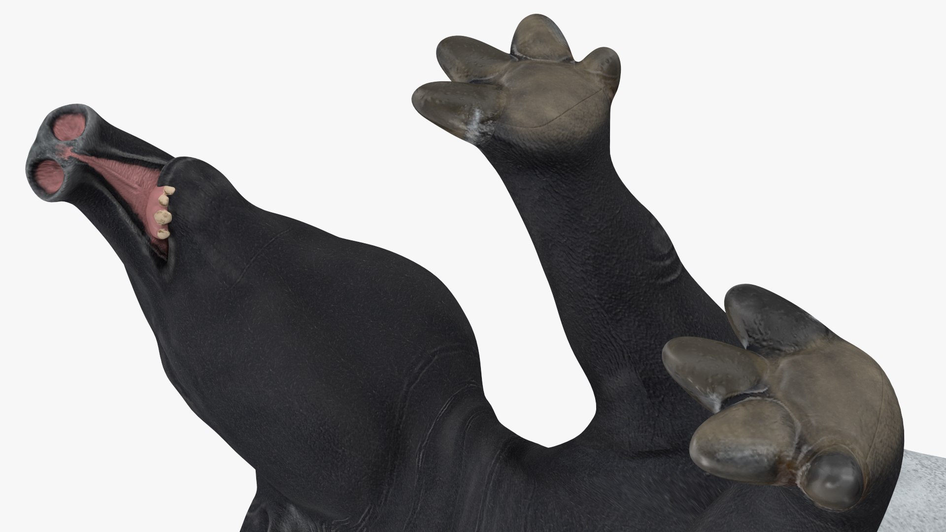 Tapir Walking Pose Model - TurboSquid 1919754