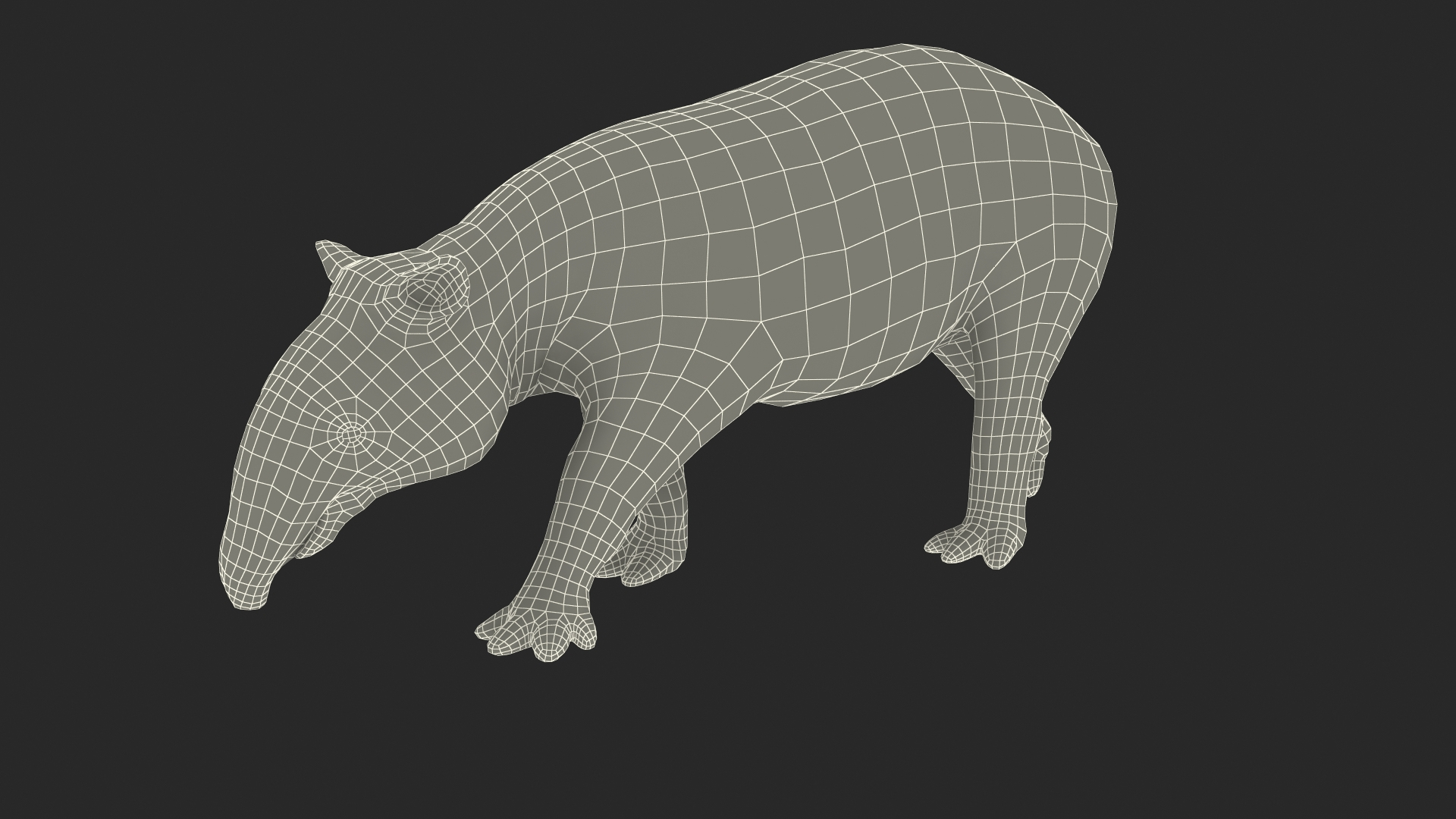Tapir Walking Pose Model - TurboSquid 1919754