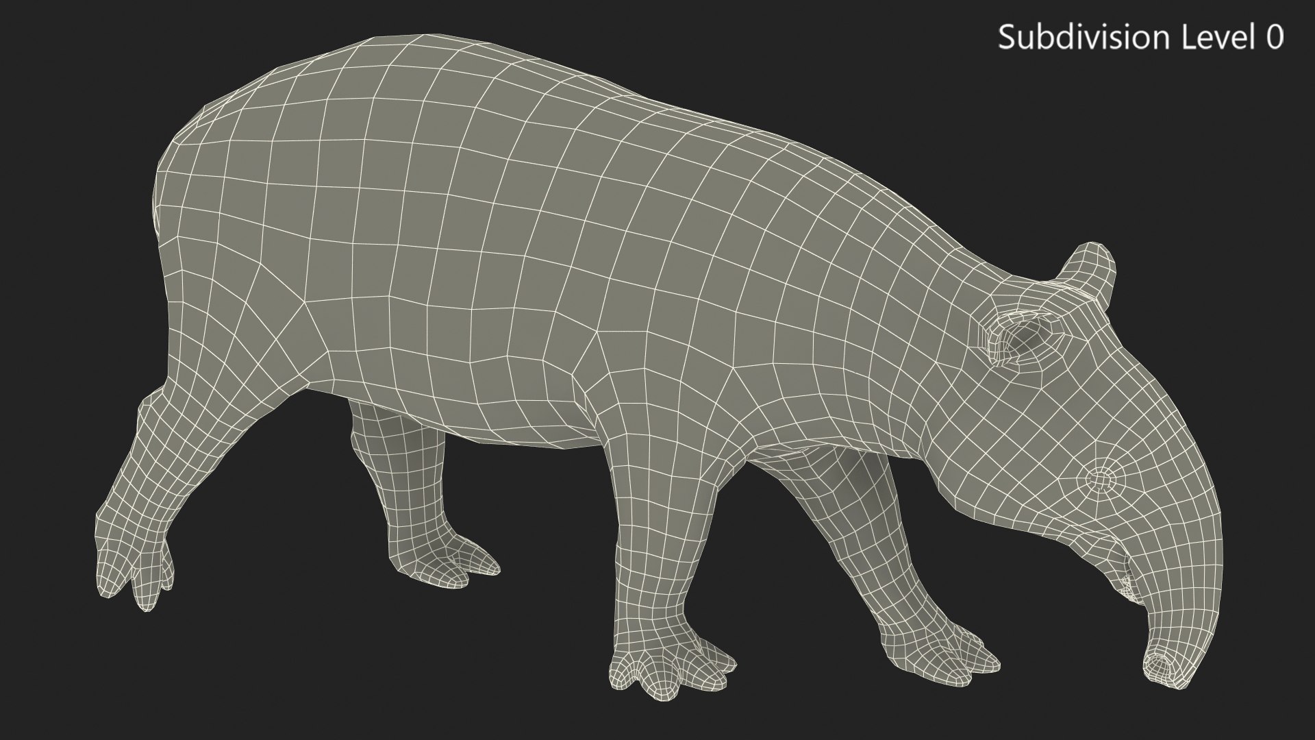 Tapir Walking Pose Model - TurboSquid 1919754