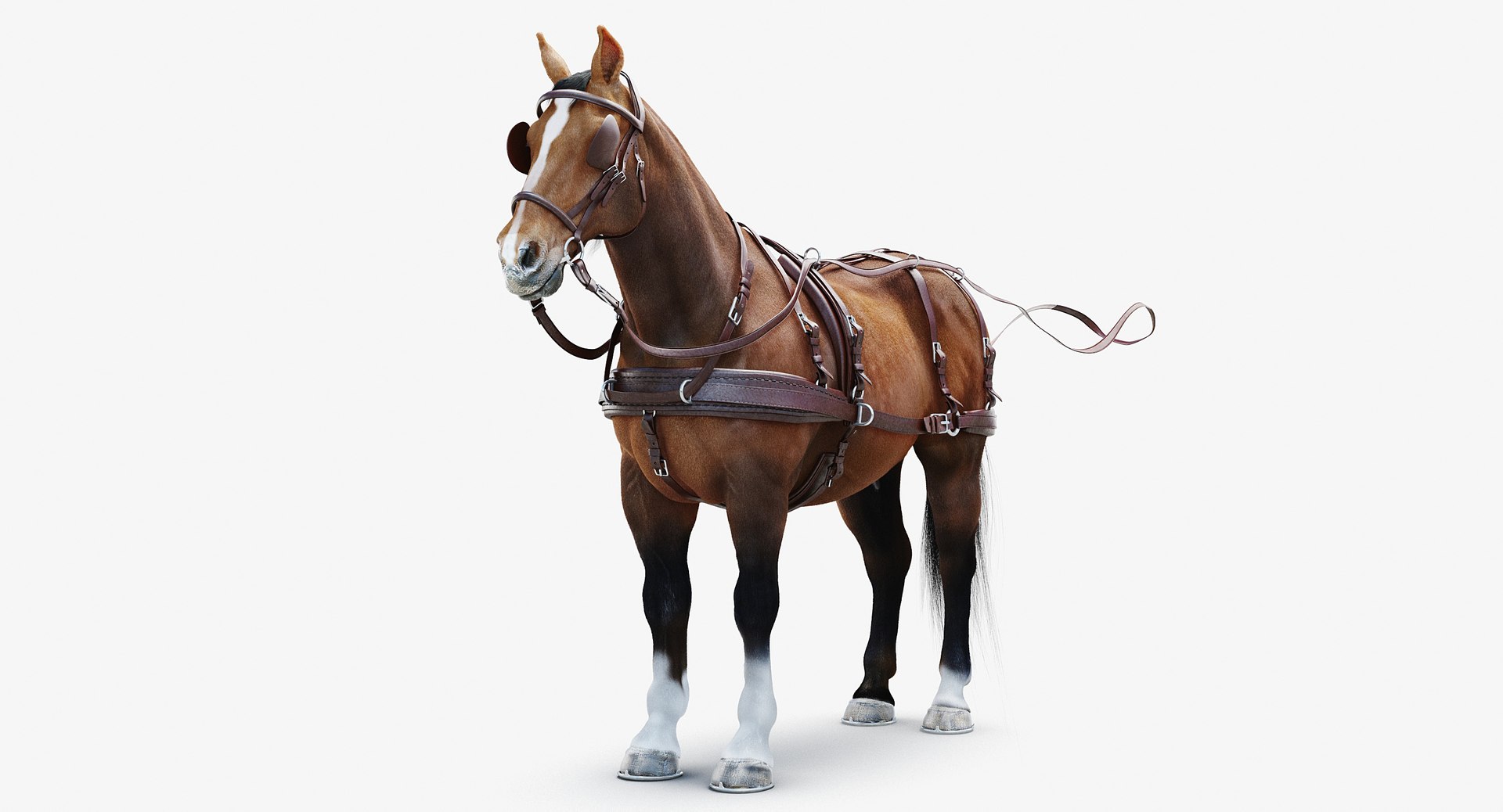 3D Realistic Horse Harness - TurboSquid 1333467