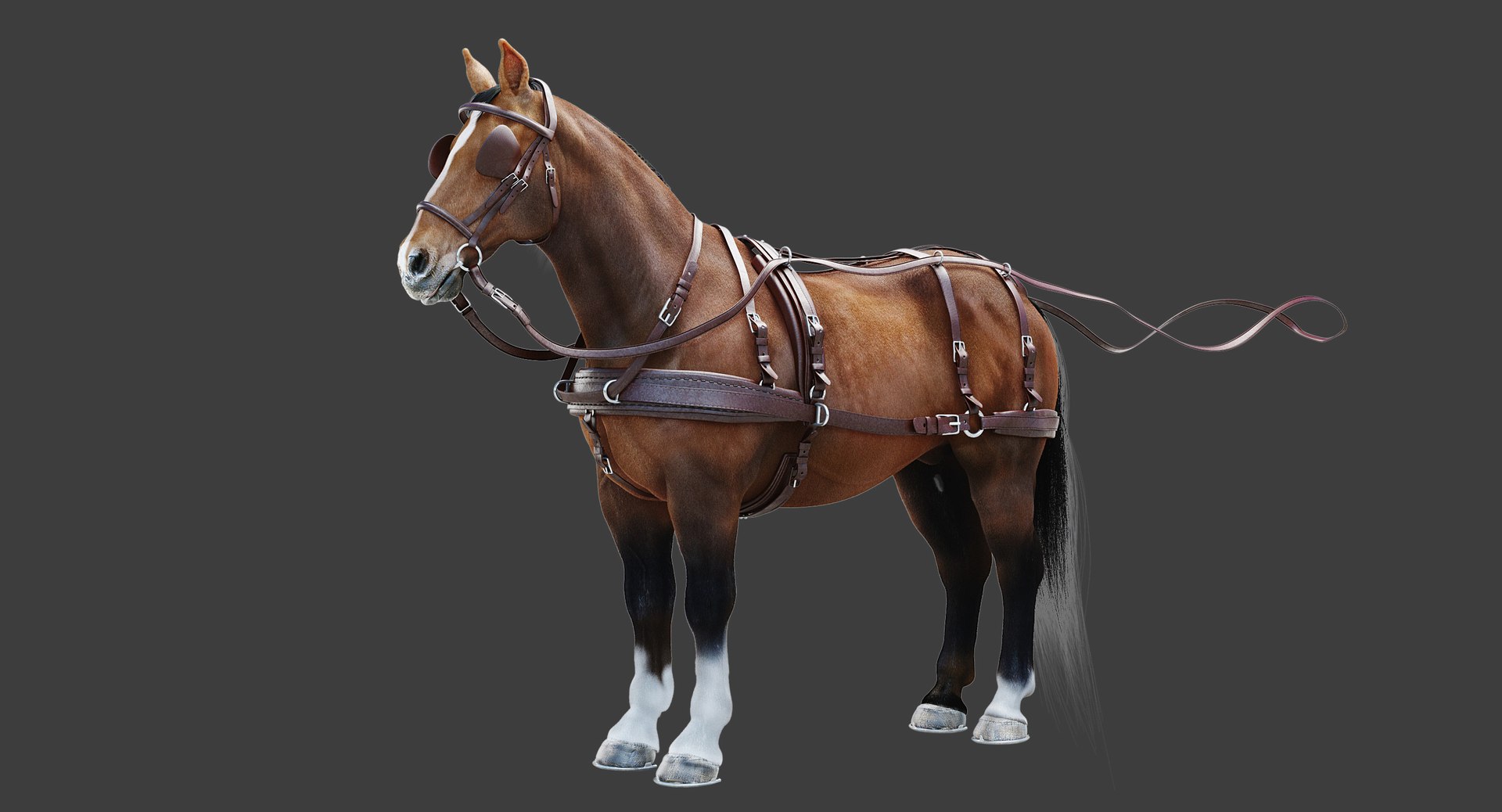 3D Realistic Horse Harness - TurboSquid 1333467