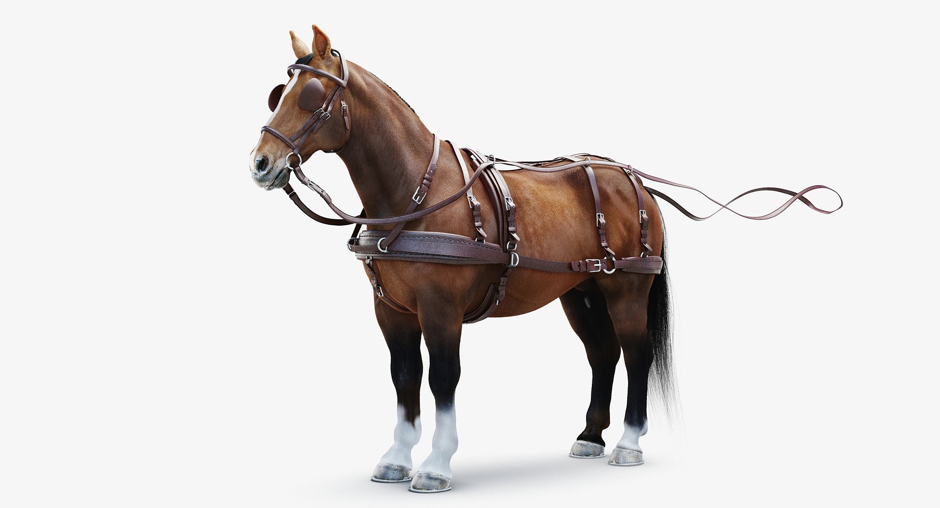 3D realistic horse harness - TurboSquid 1333467