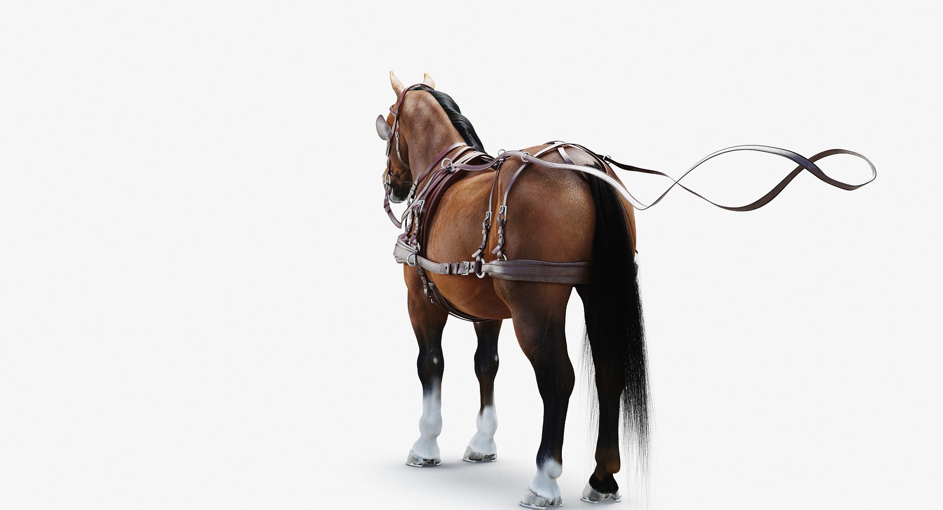 3D Realistic Horse Harness - TurboSquid 1333467