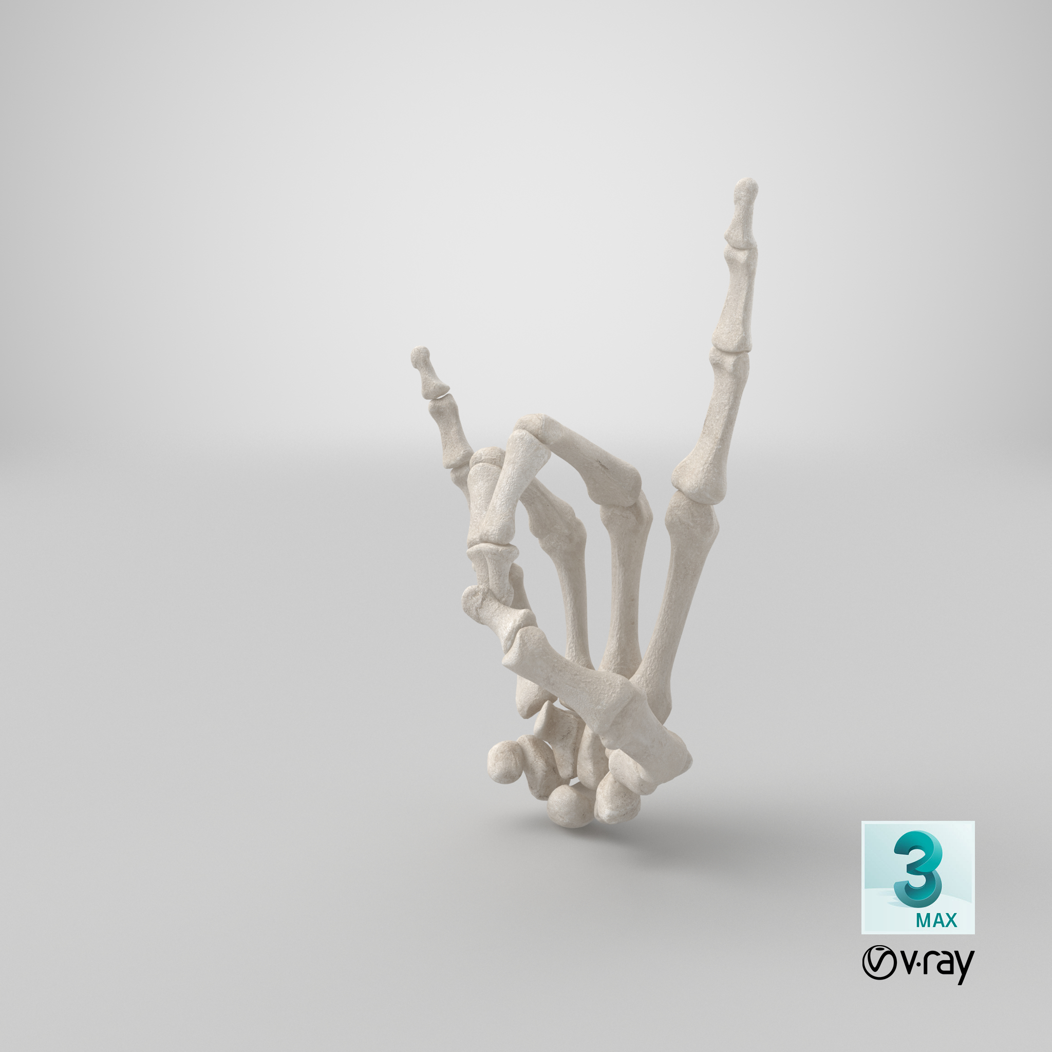 3D model human hand bones white - TurboSquid 1608853