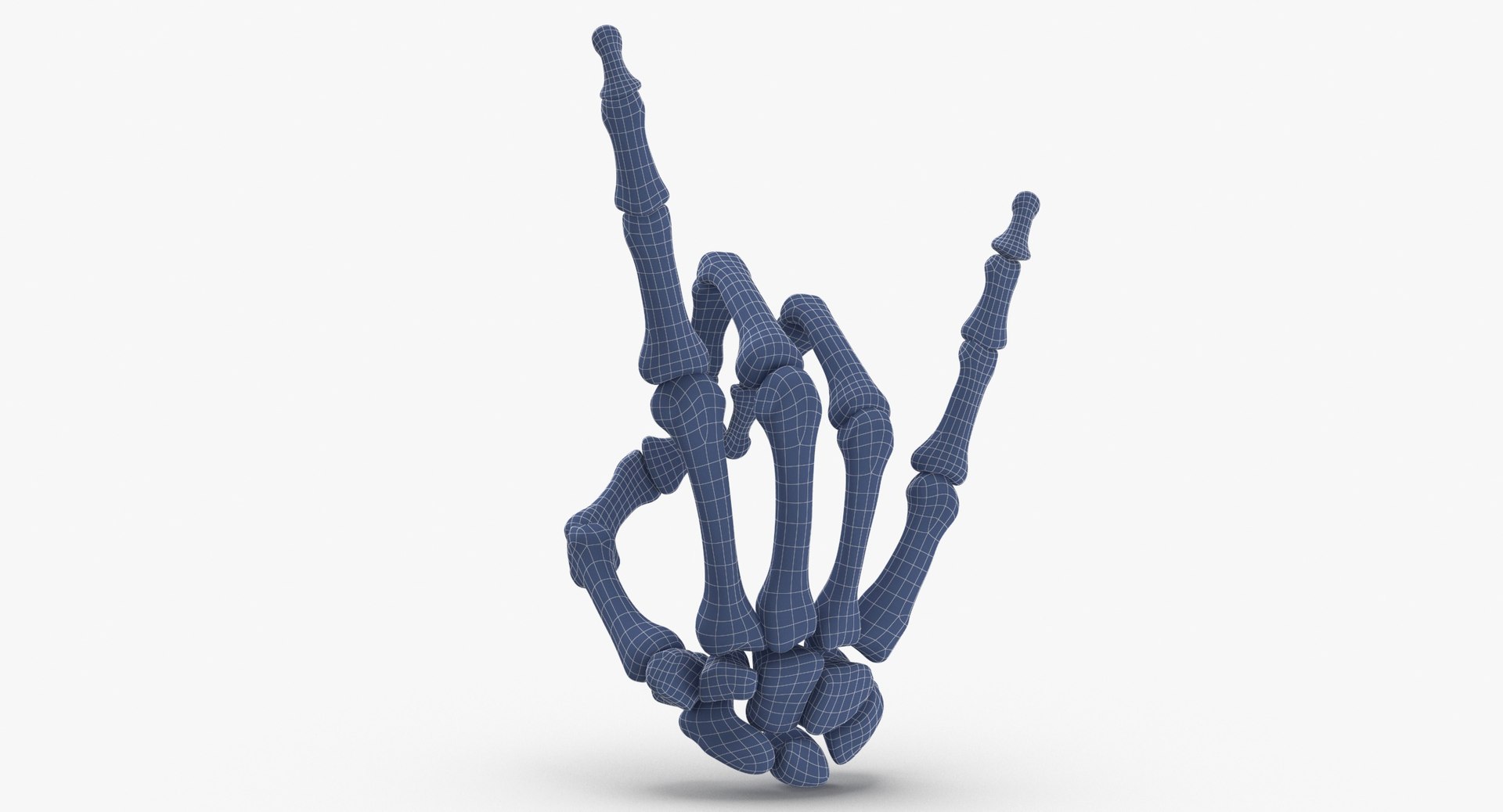 3D Model Human Hand Bones White - TurboSquid 1608853