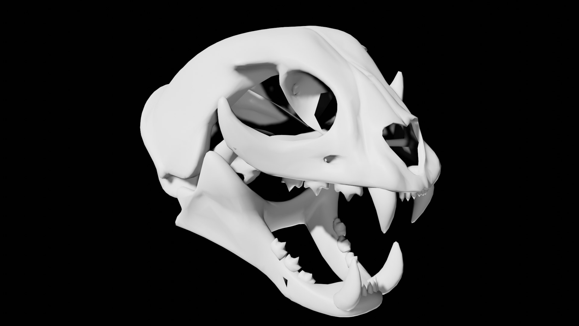 Cat Skull 3D model - TurboSquid 1826447