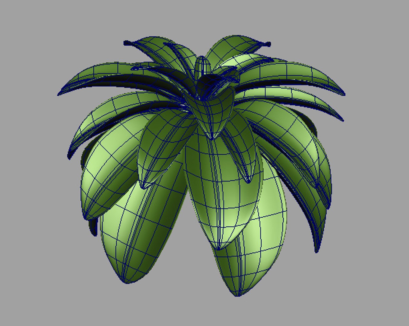 Cartoon Plant 3d Model