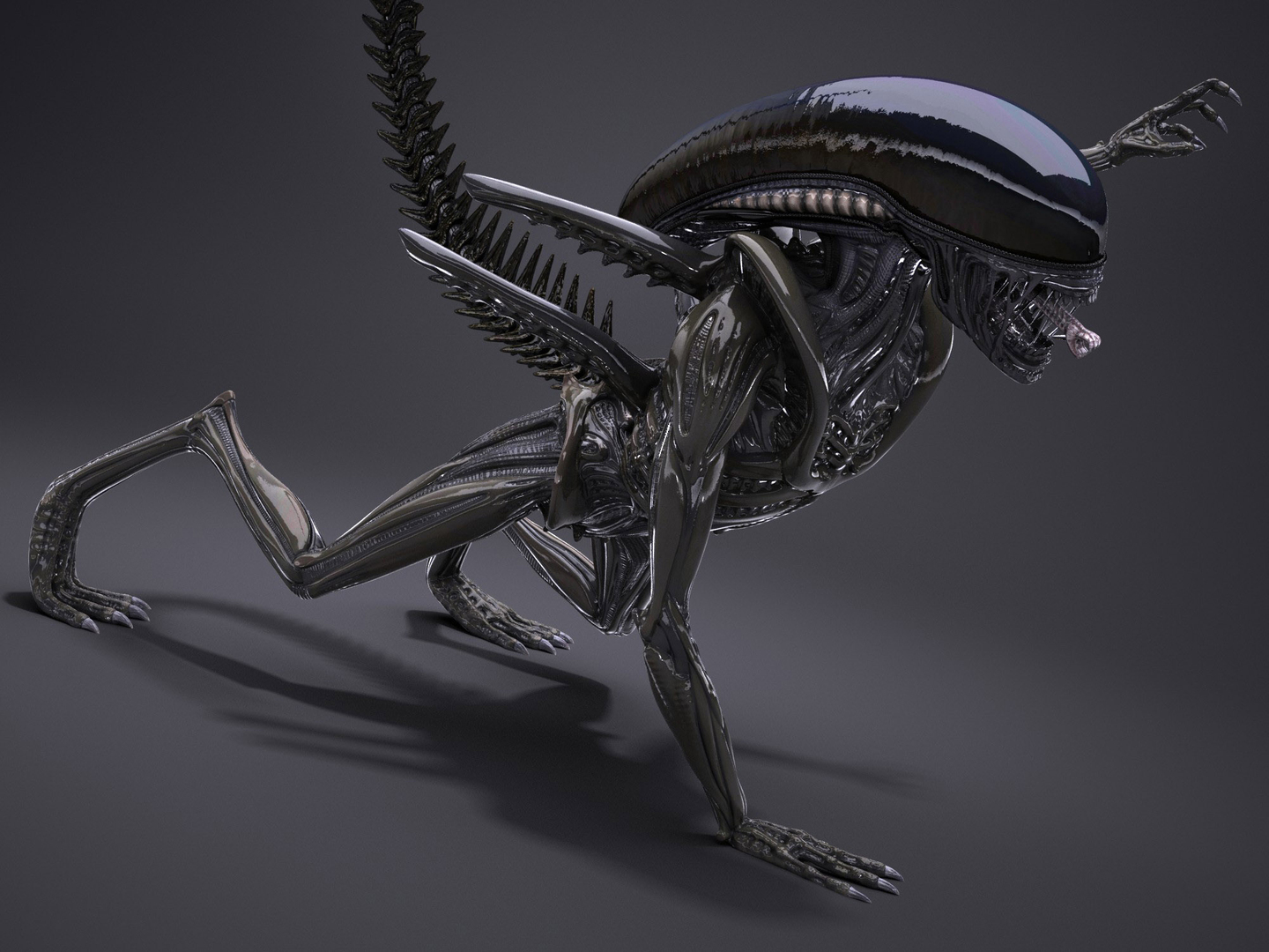 Alien xenomorph 3D model - TurboSquid 1216136