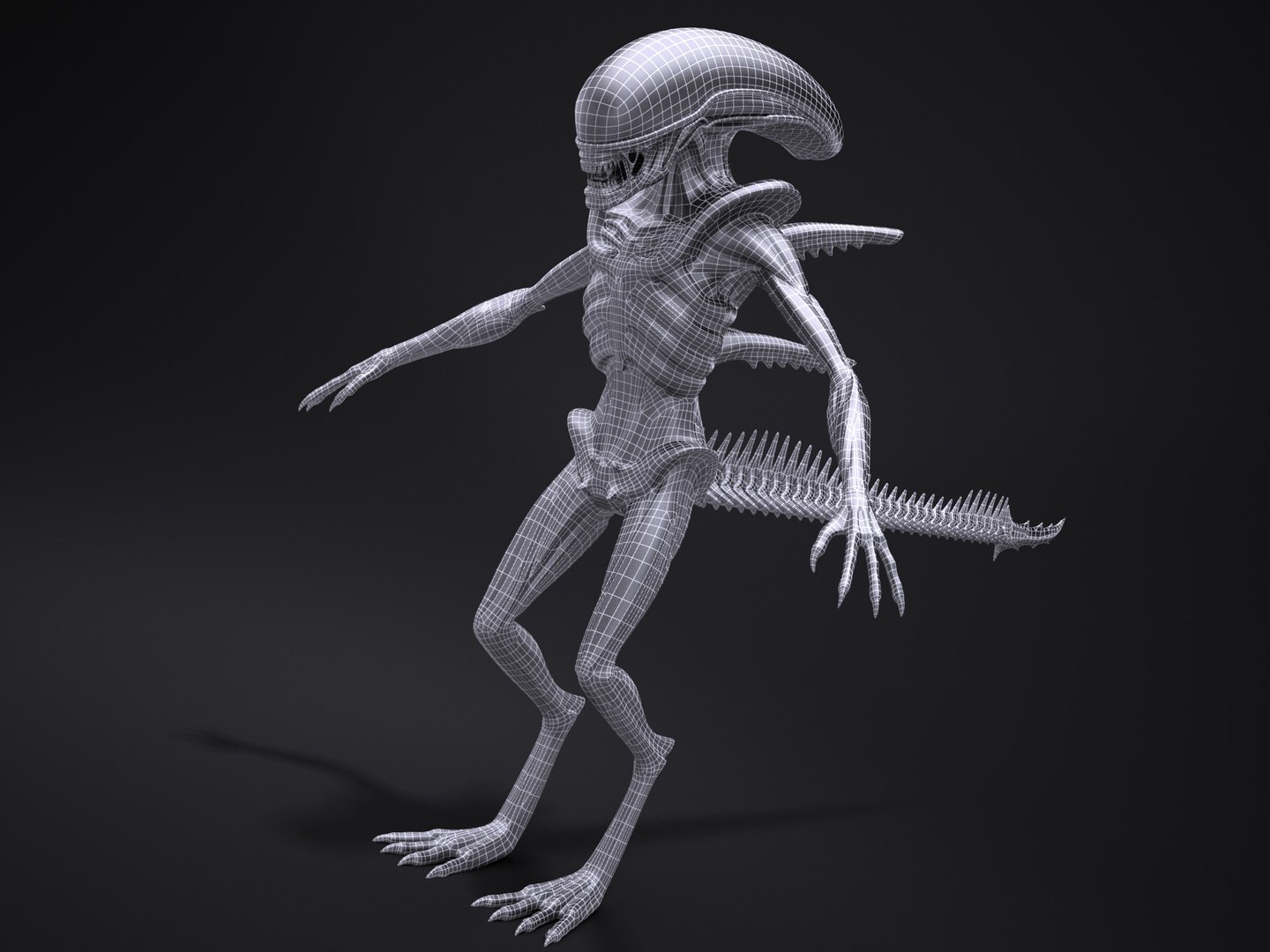 Alien Xenomorph 3D Model - TurboSquid 1216136