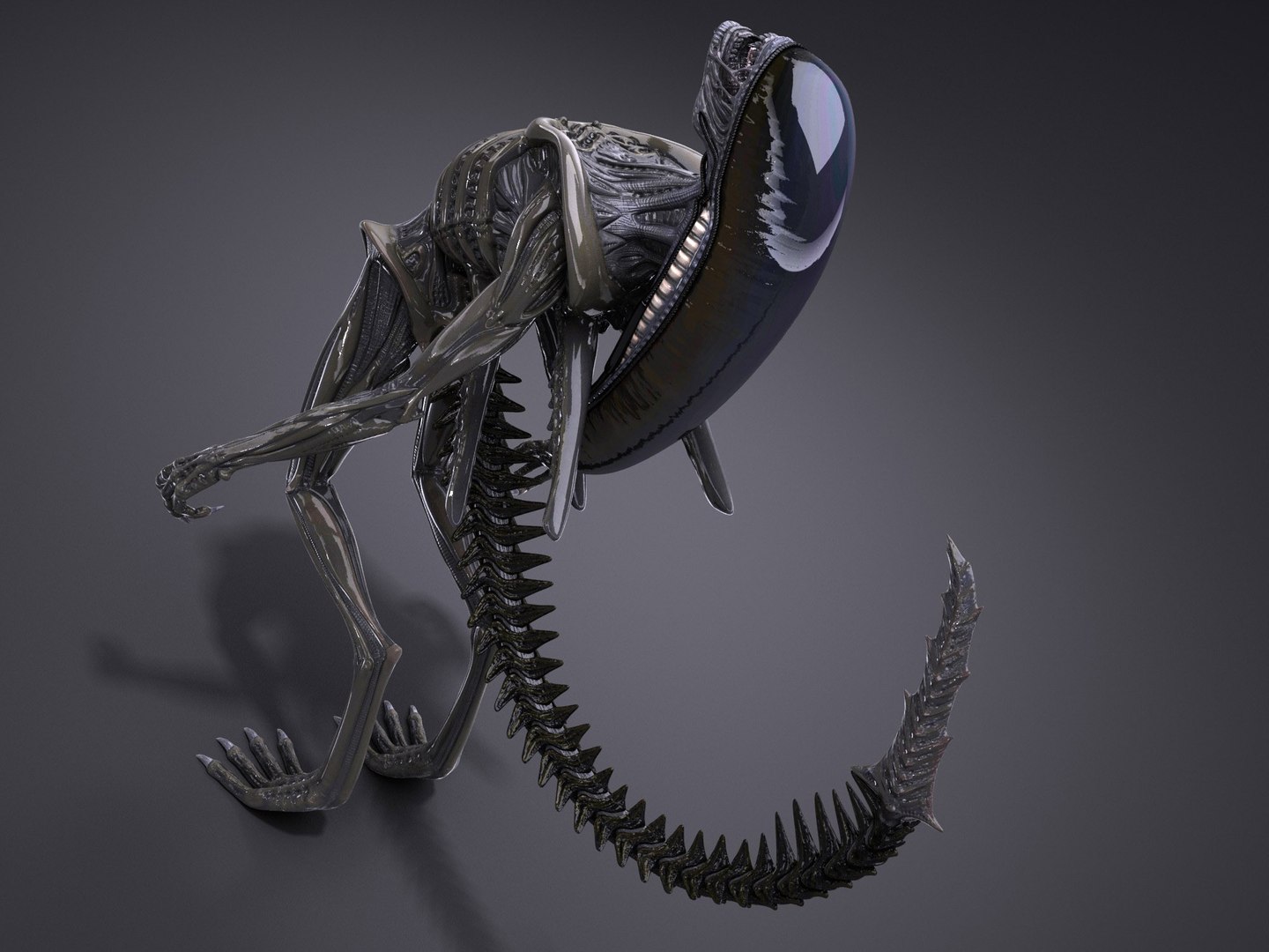 Alien Xenomorph 3D Model - TurboSquid 1216136