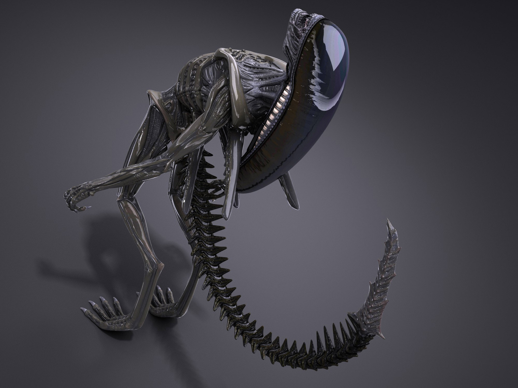 Alien xenomorph 3D model - TurboSquid 1216136