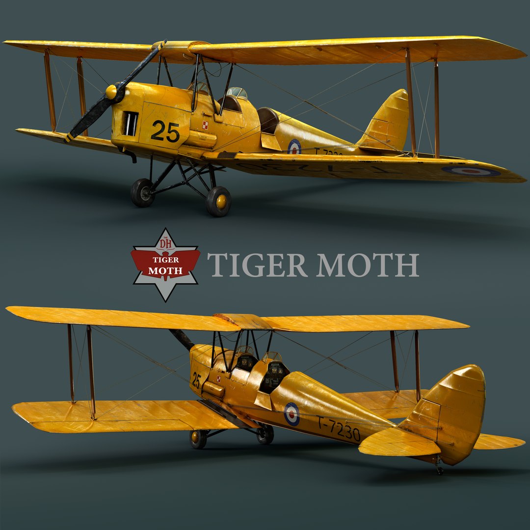 Tiger Moth 3D Model | 1141981 | TurboSquid
