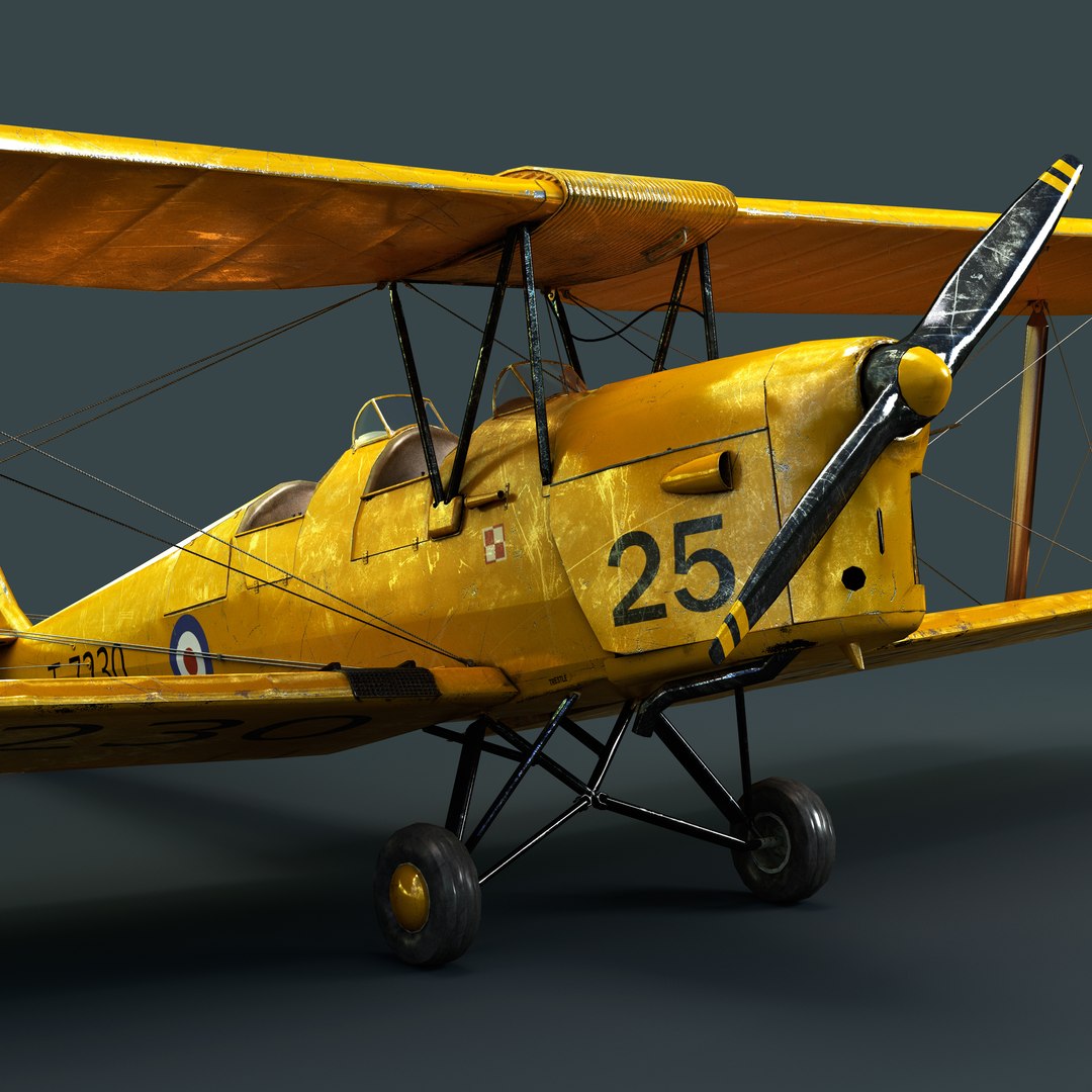 Tiger Moth 3D Model | 1141981 | TurboSquid