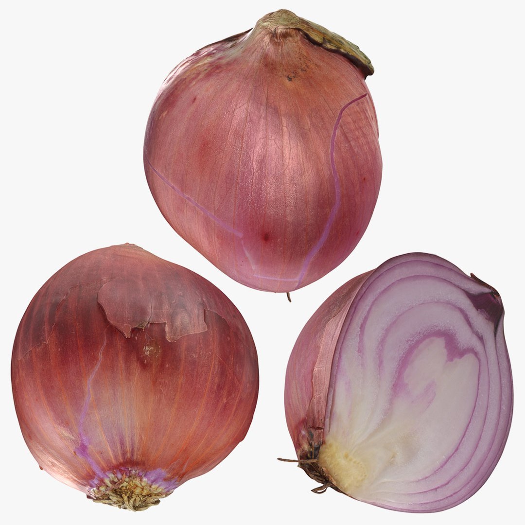 3D Red Onion Collection 3 Model - TurboSquid 2182026