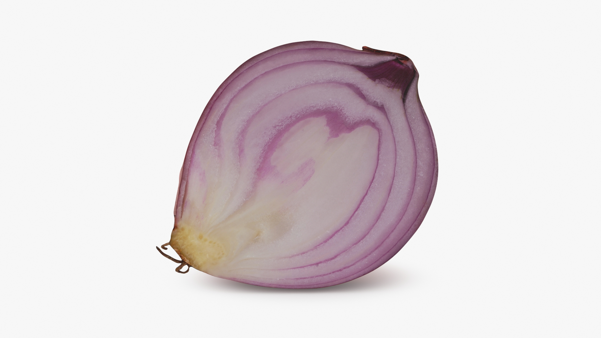 3D Red Onion Collection 3 Model - TurboSquid 2182026