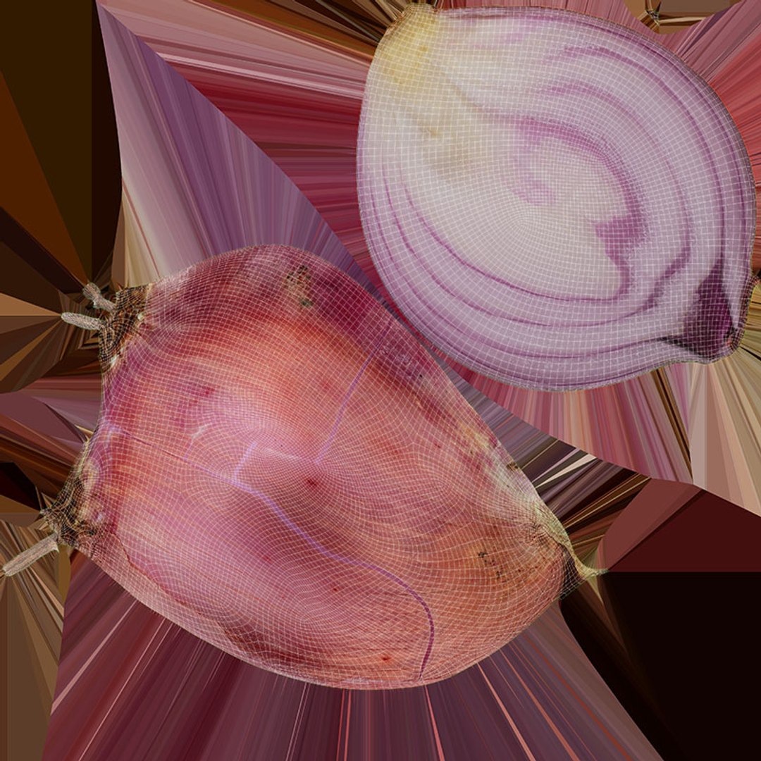 3D Red Onion Collection 3 model - TurboSquid 2182026