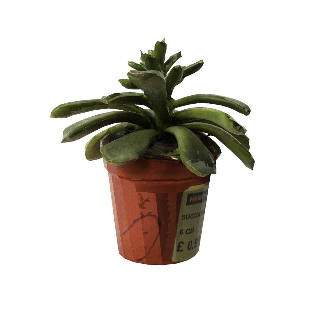 Pot Leaf 3D Model - TurboSquid 1401521