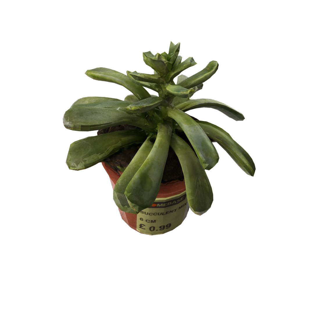 Pot Leaf 3D Model - TurboSquid 1401521