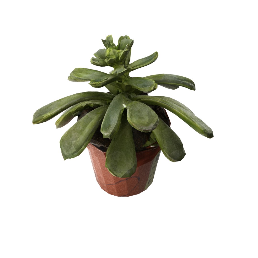 Pot leaf 3D model - TurboSquid 1401521