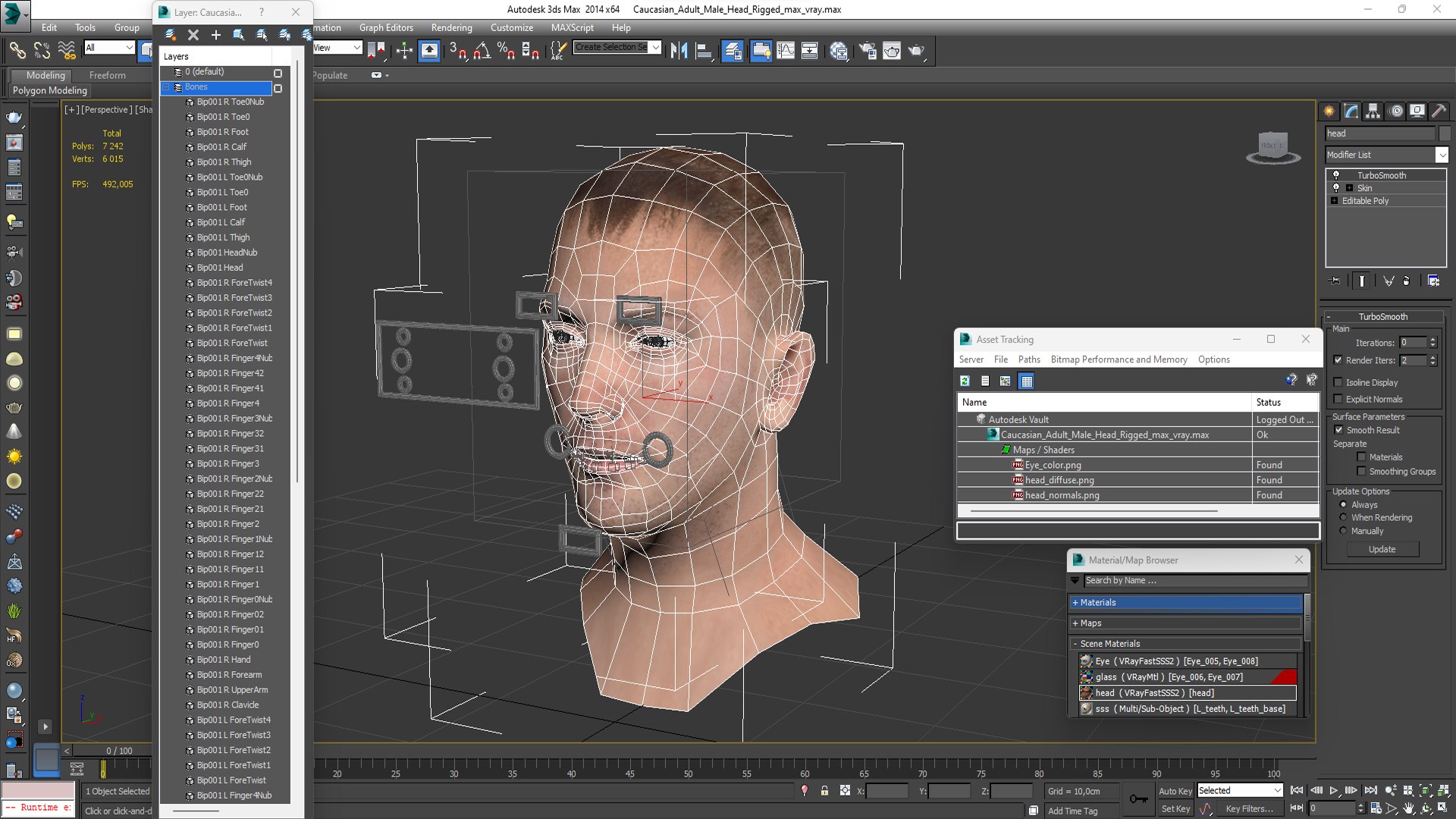 3D Caucasian Adult Male Head Rigged - TurboSquid 2210037