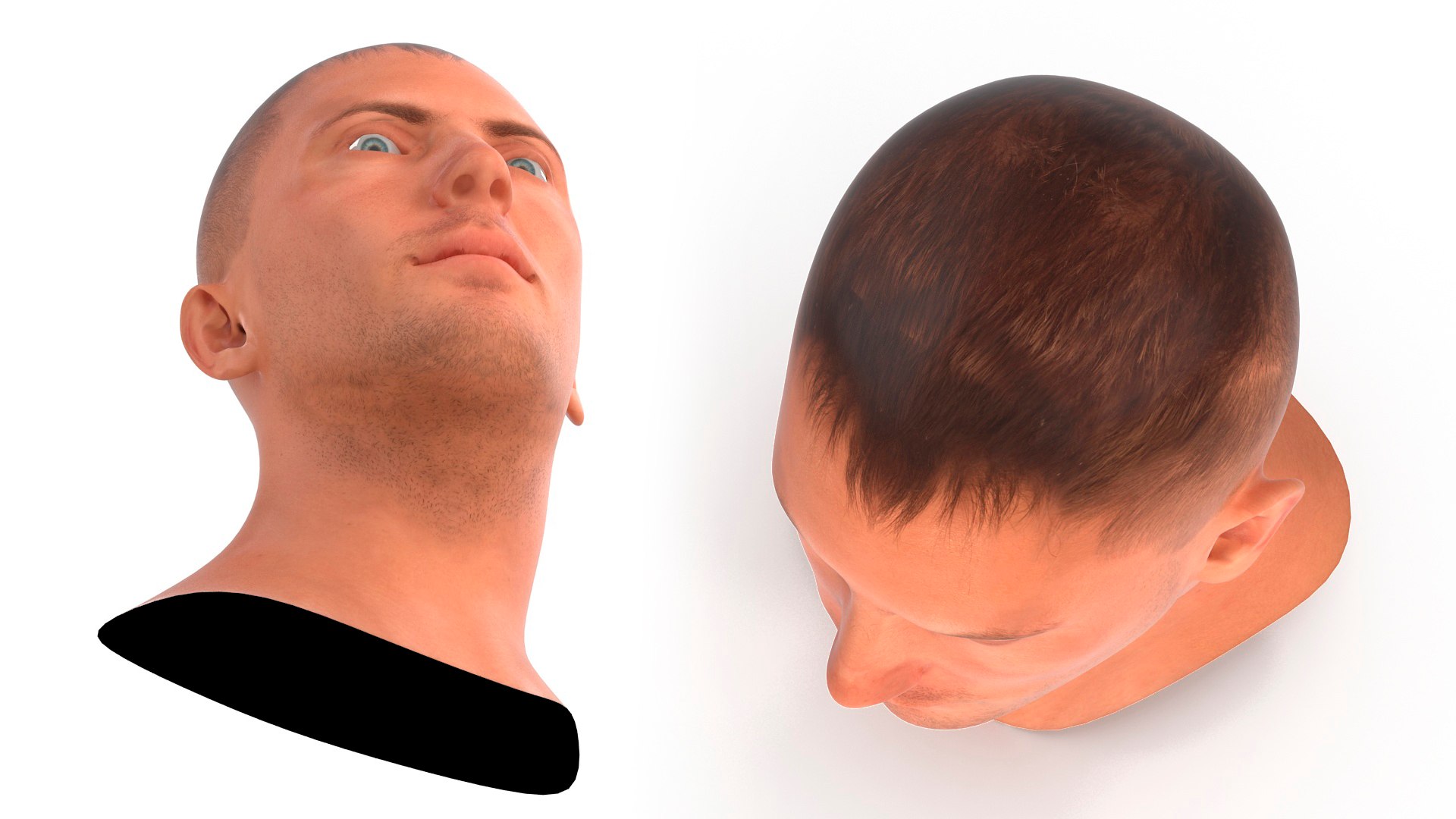 3D Caucasian Adult Male Head Rigged - TurboSquid 2210037