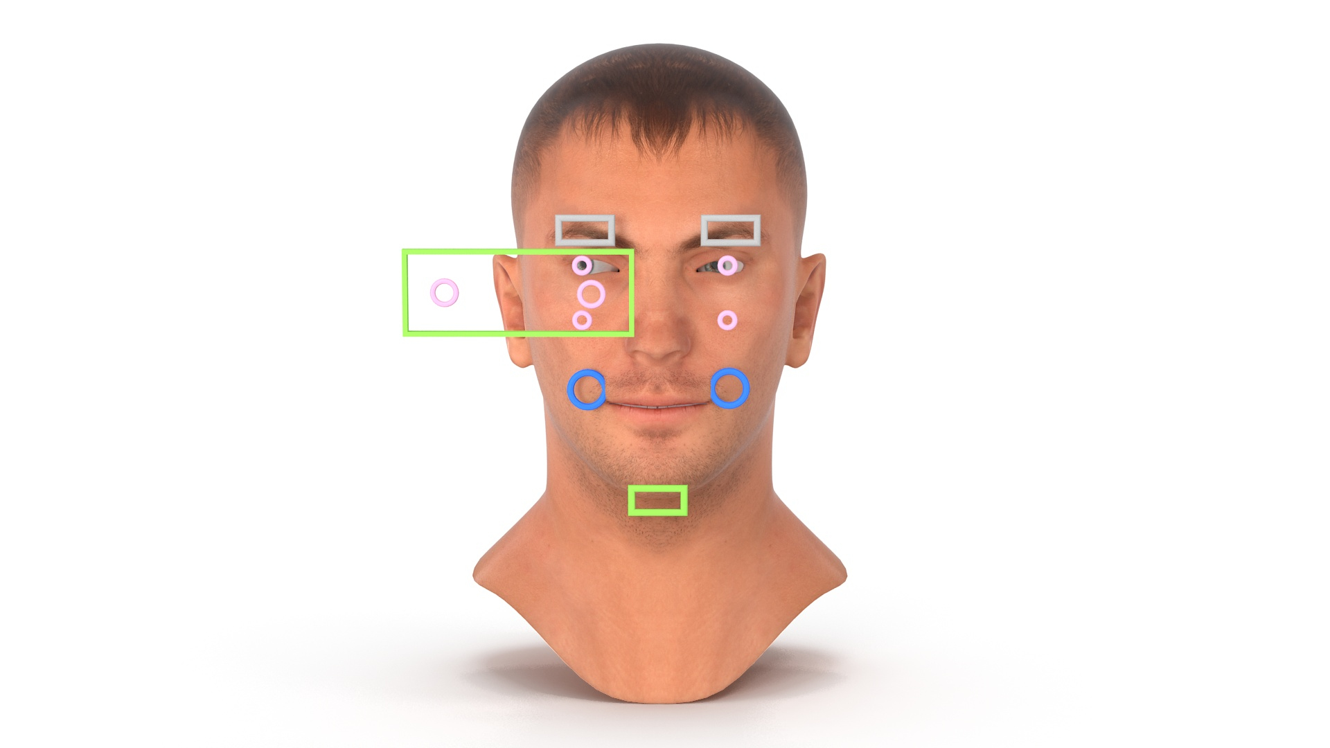 3D Caucasian Adult Male Head Rigged - TurboSquid 2210037
