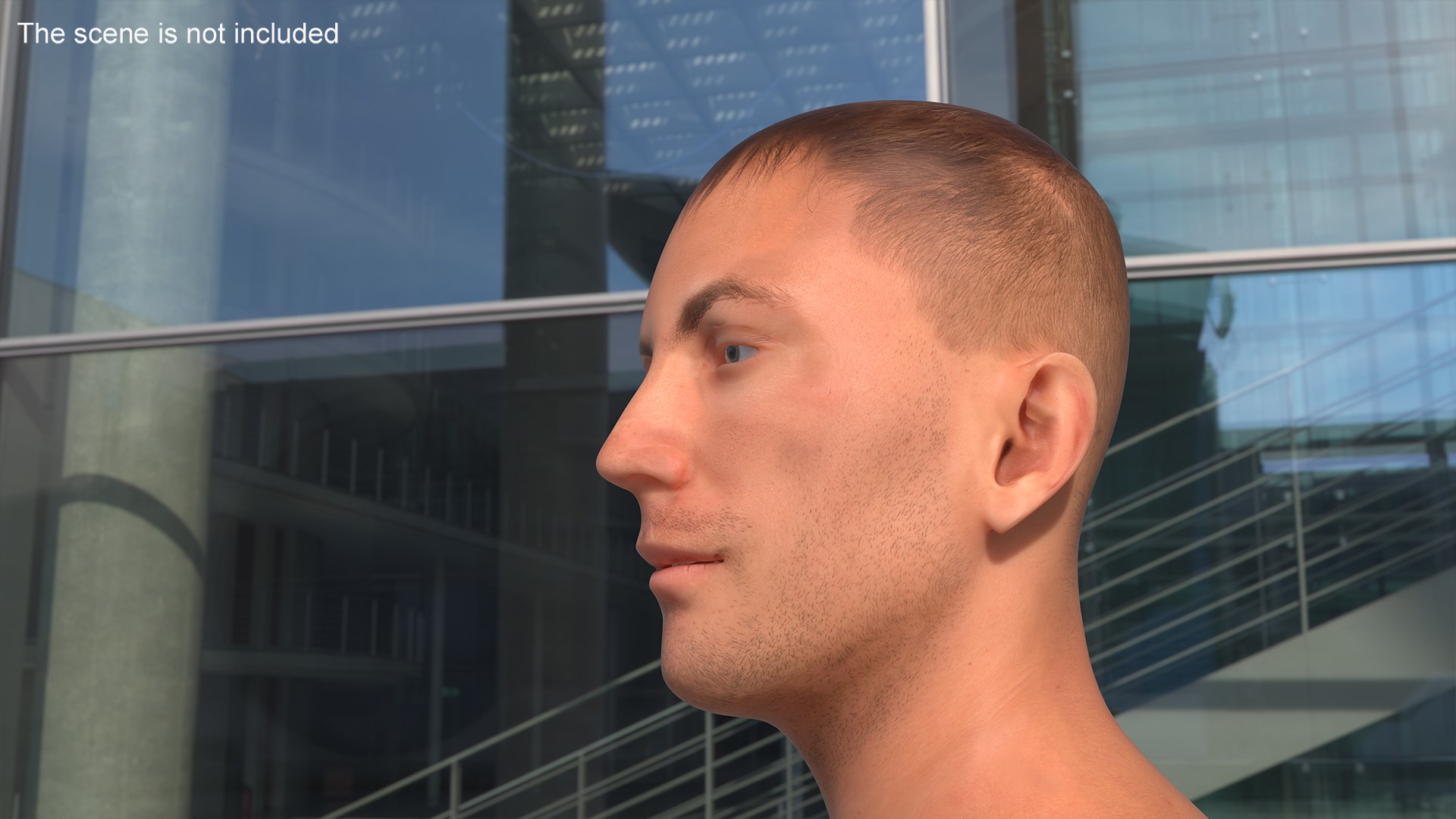 3D Caucasian Adult Male Head Rigged - TurboSquid 2210037