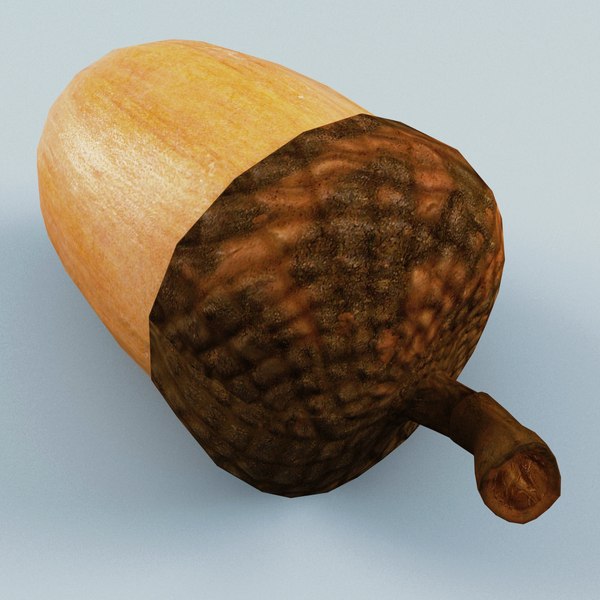 3d model acorn modelled