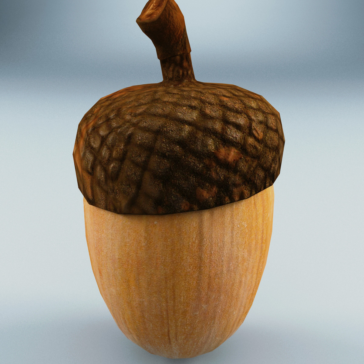 3d model acorn modelled