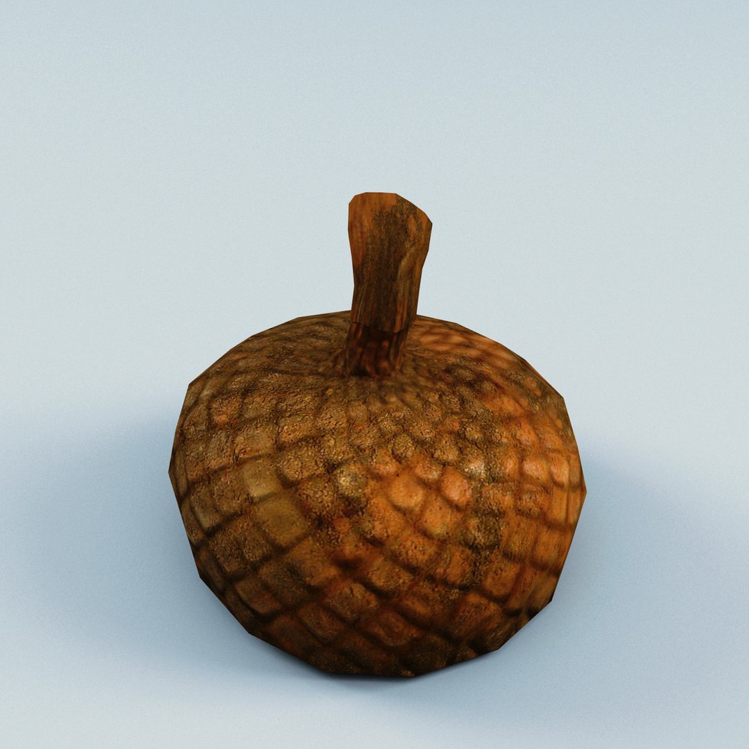 3d Model Acorn Modelled