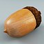 3d Model Acorn Modelled