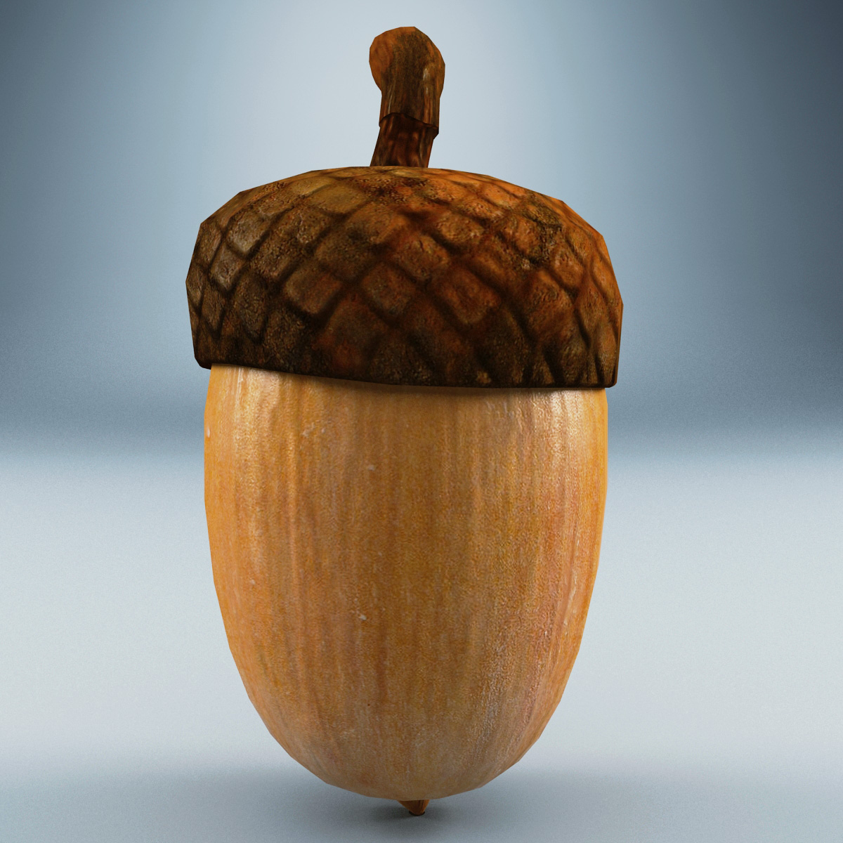 3d model acorn modelled