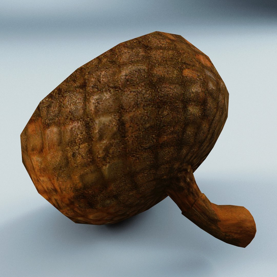 3d Model Acorn Modelled