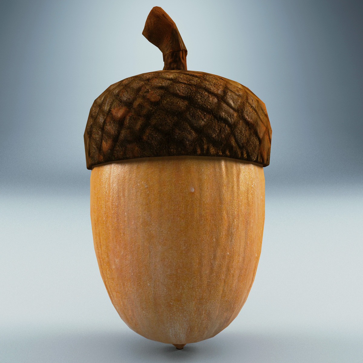 3d model acorn modelled