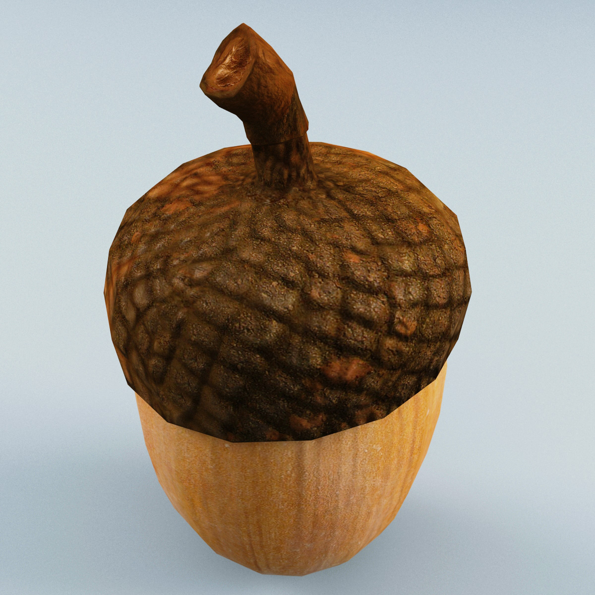 3d model acorn modelled