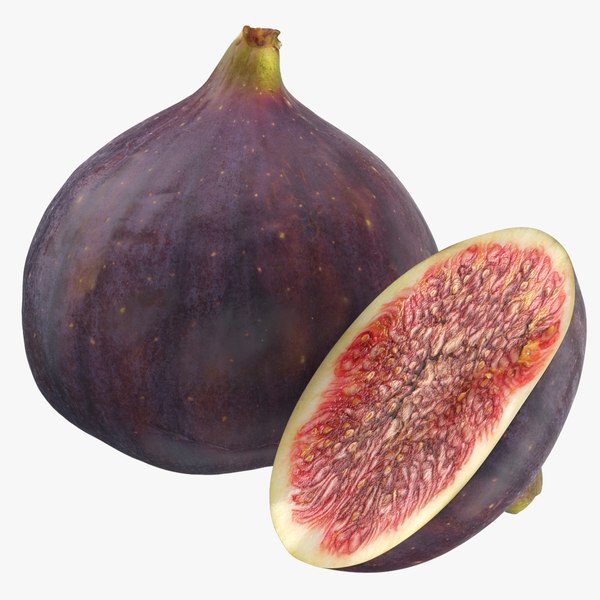 3D Fig Models | TurboSquid