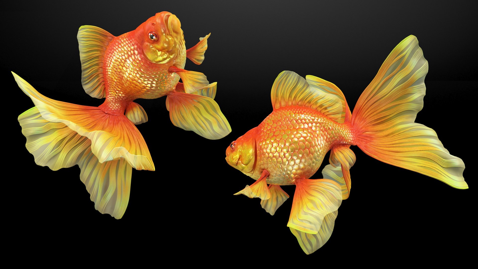 3D Orange Fancy Fantail Goldfish Rigged for Modo - TurboSquid 1763774