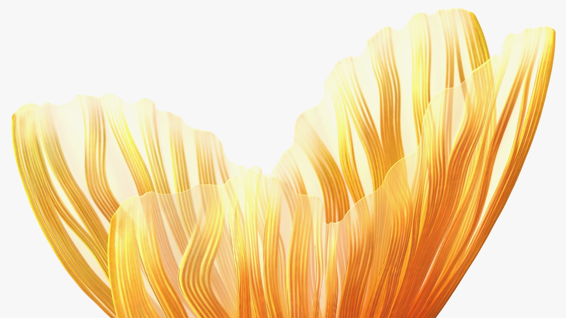 3D Orange Fancy Fantail Goldfish Rigged for Modo - TurboSquid 1763774