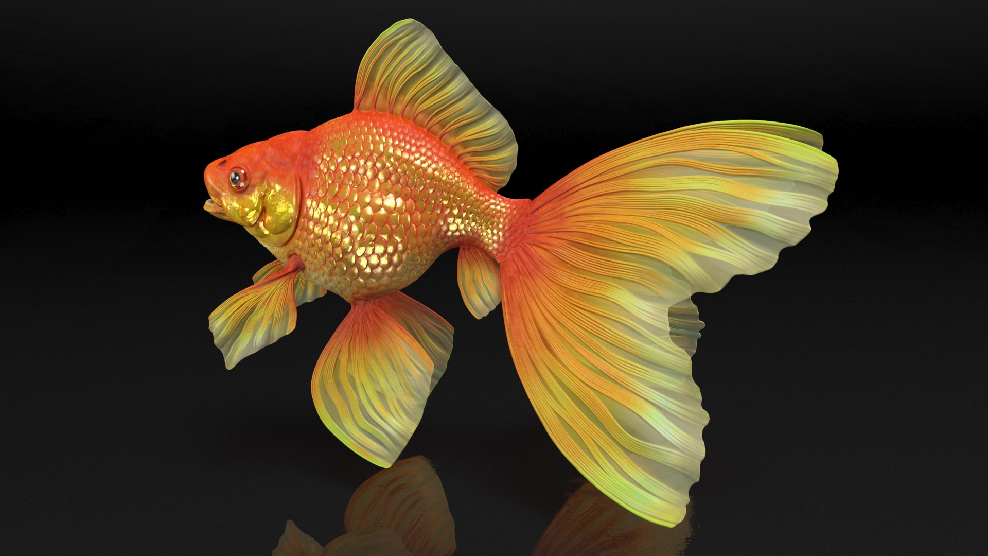 3D Orange Fancy Fantail Goldfish Rigged for Modo - TurboSquid 1763774