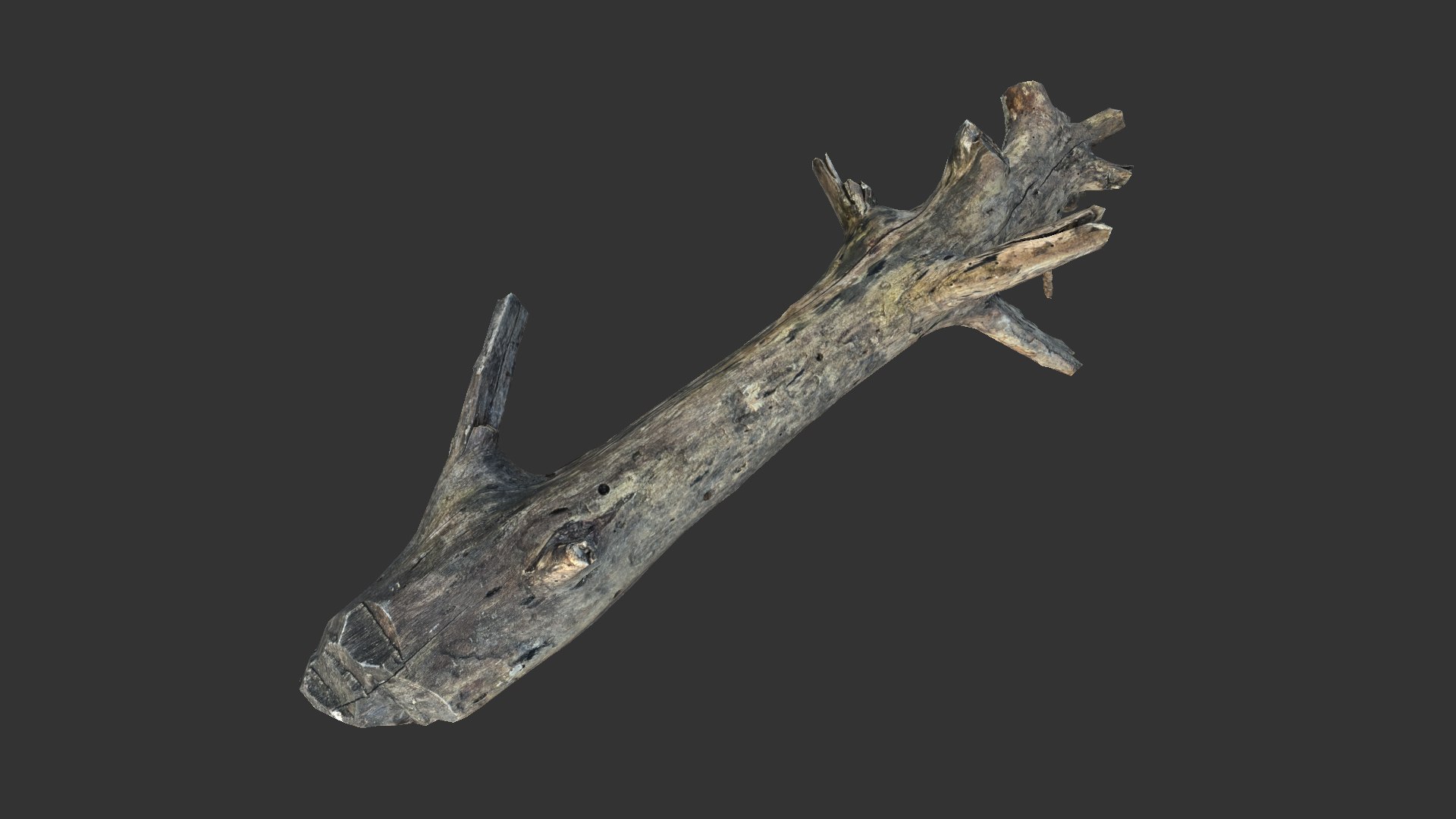3D Realistic Tree Trunks With Branches Model - TurboSquid 2167026