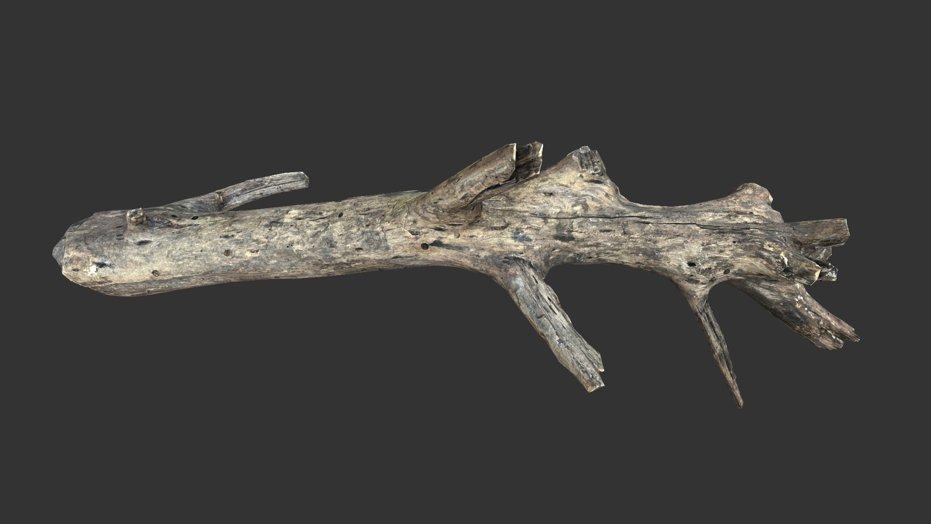 3D Realistic Tree Trunks With Branches Model - TurboSquid 2167026