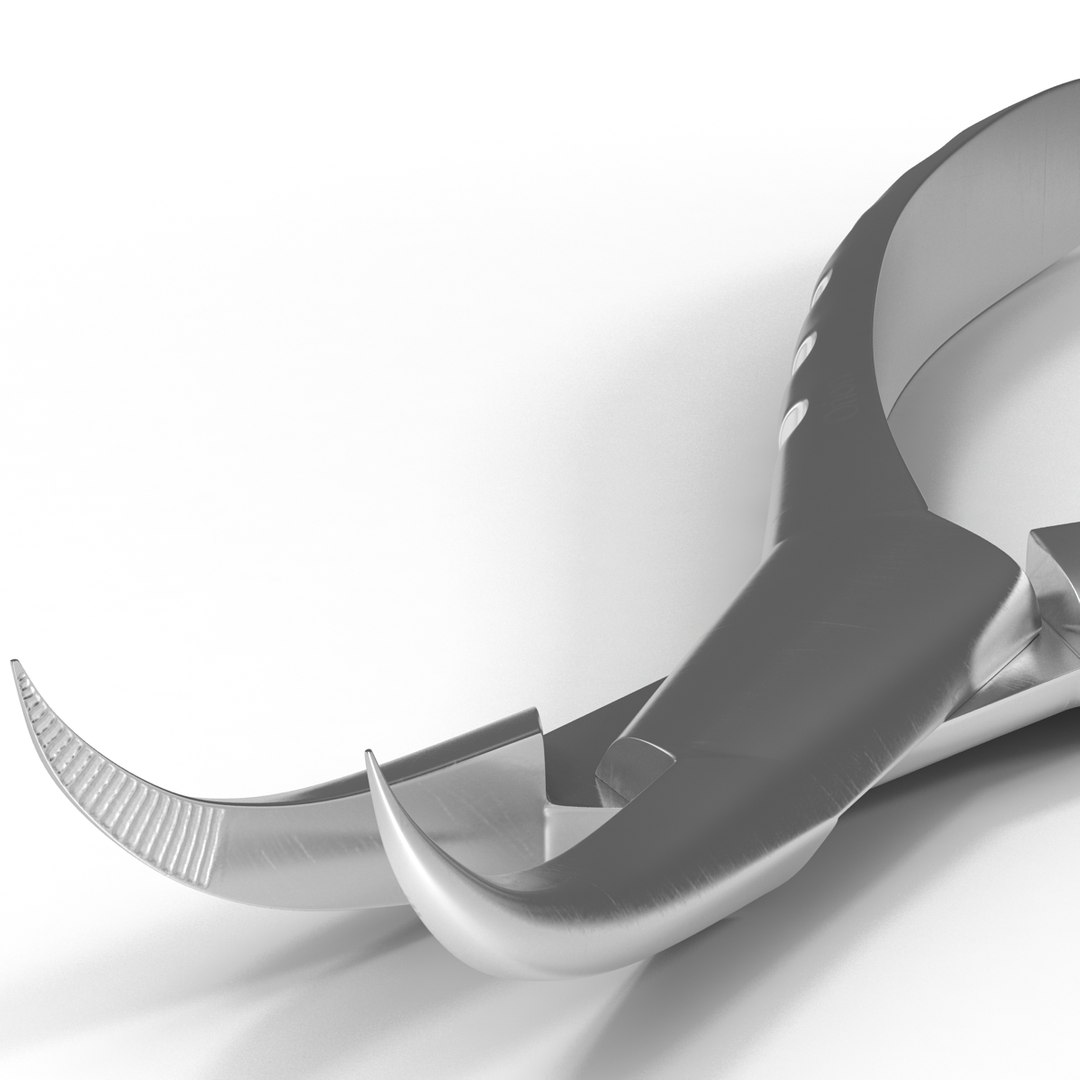 Extracting Forcep 3d Model