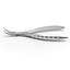 Extracting Forcep 3d Model