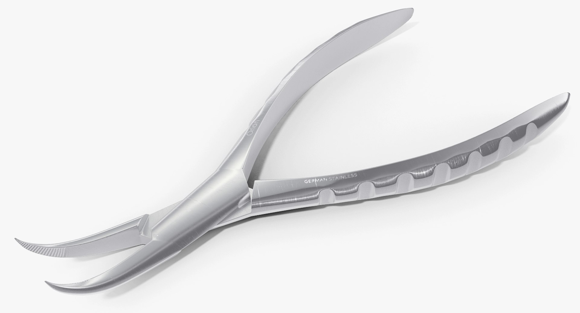 extracting forcep 3d model