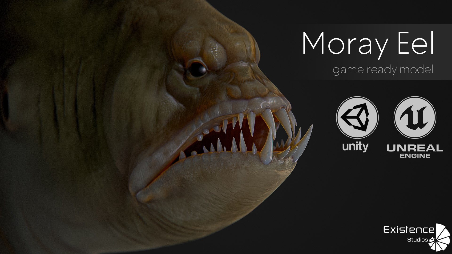 Moray Eel low poly model - underwater creatures - ocean monster fish ...