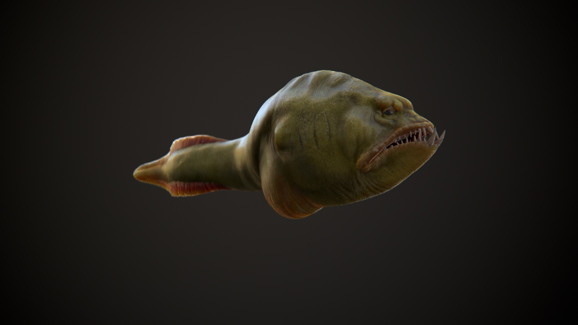 3D Moray Eel Low Poly Model - Underwater Creatures - Ocean Monster Fish ...