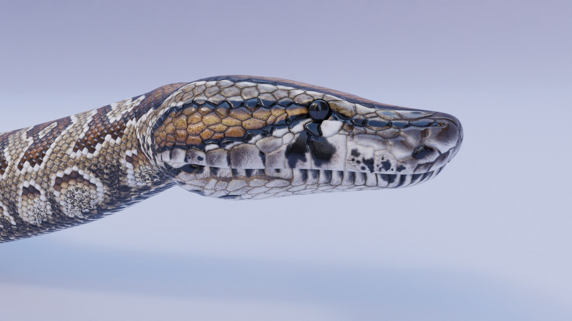 Southern African Rock Python - Animated 3D Model - TurboSquid 1833829